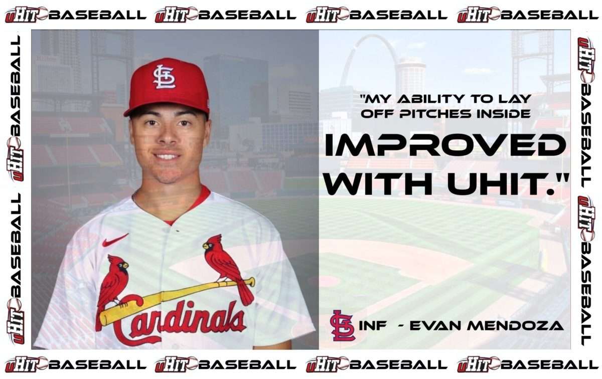 ARTICLES – deCervo