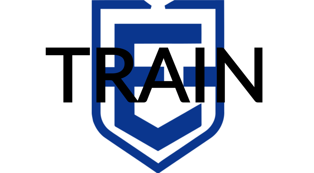 deCervo Decision Training