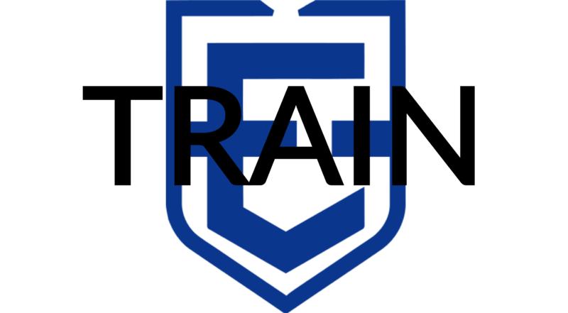 deCervo Decision Training